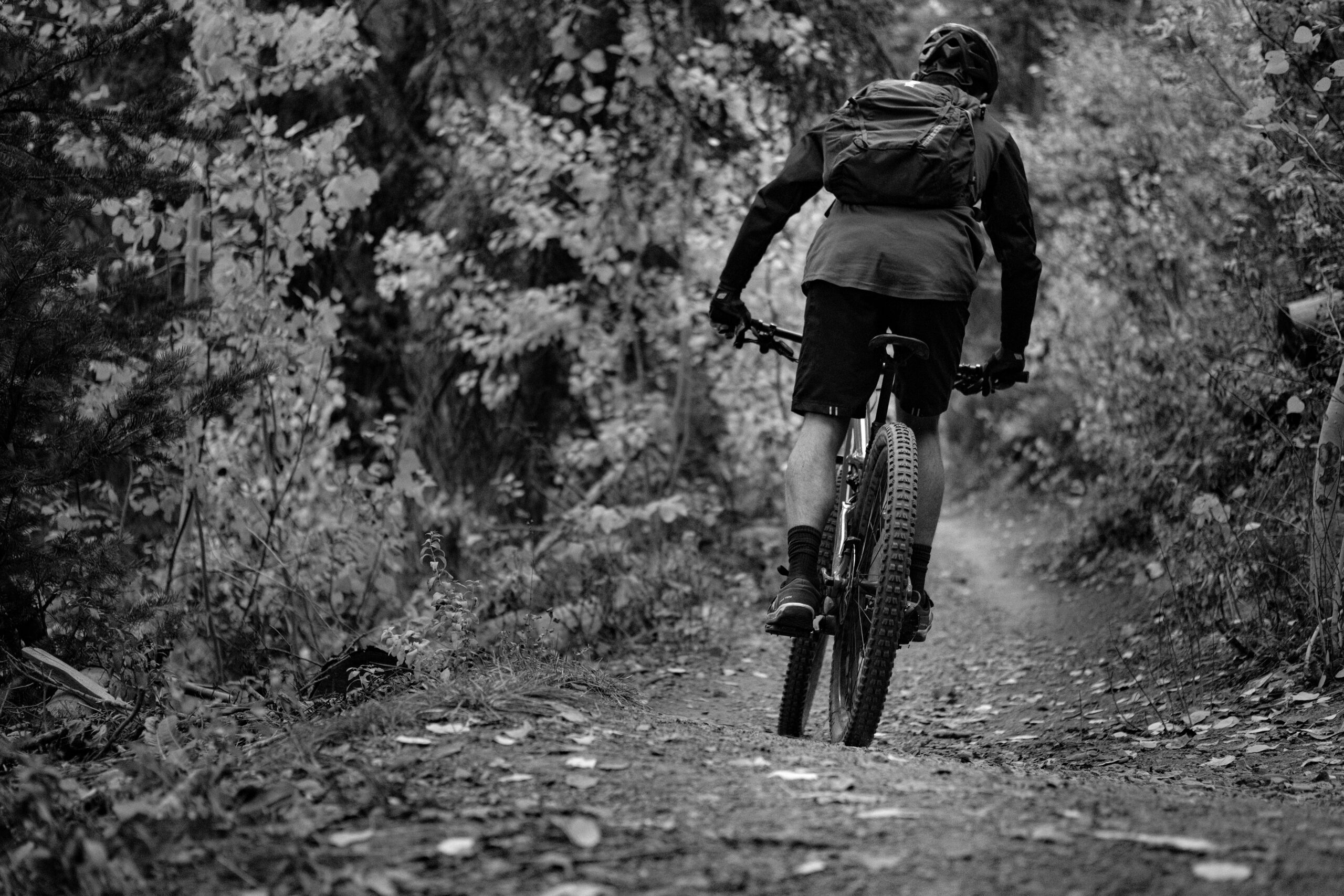 Pedal Your Way to Paradise: the best mountain biking destinations in ...