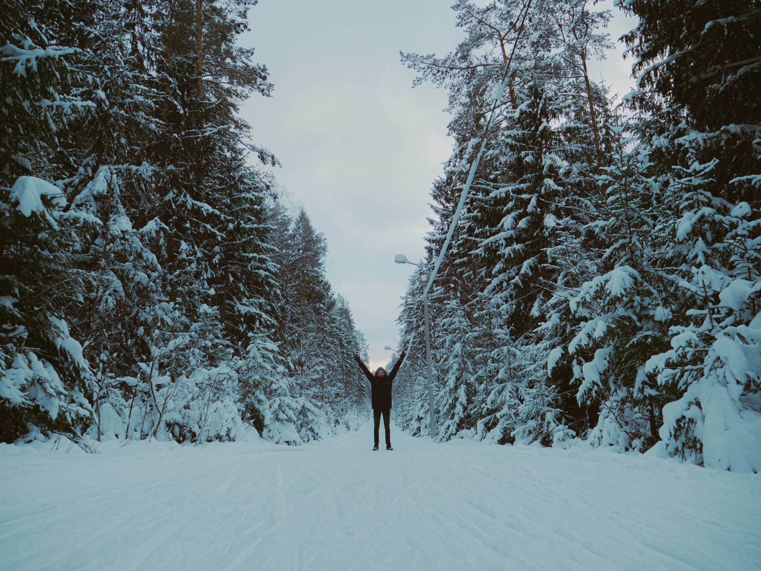 A Holiday Travel Guide to Blue Ridge, GA: Your Luxury Winter Escape ...